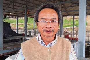 Isan's kite tradition on display at Buri Ram festival