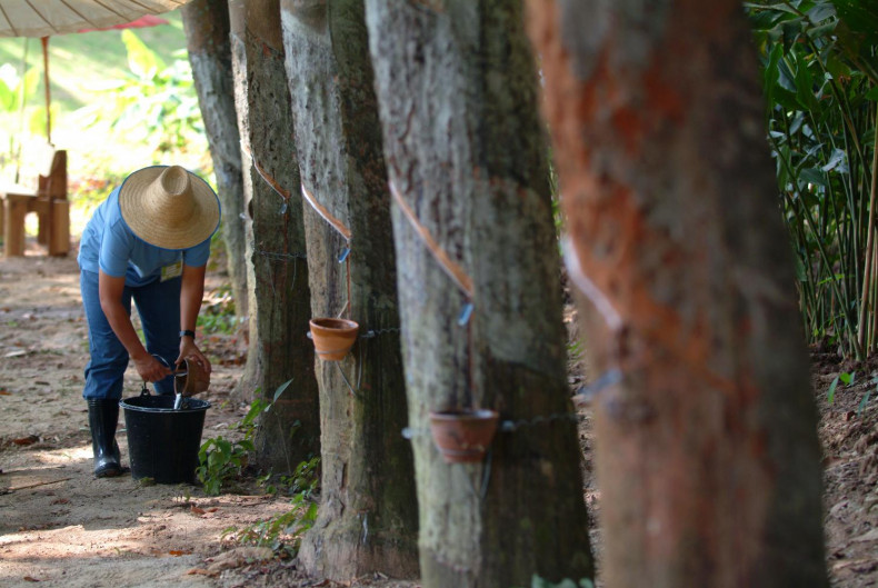 Bangkok Post - STA raises rubber production capacity