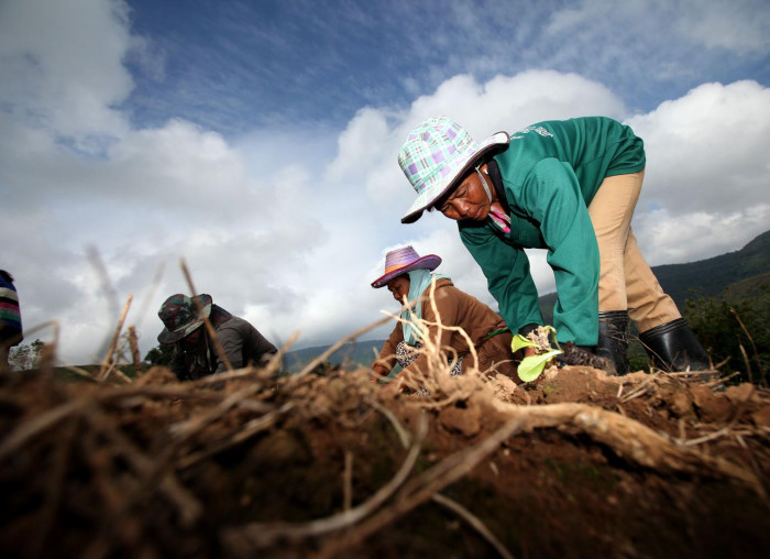 IMH, Pornnarit Group to co-develop medical hub - TrendRadars