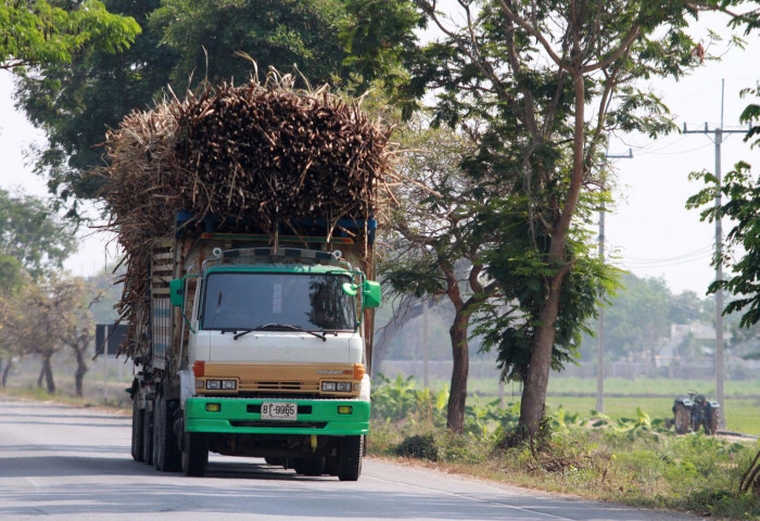 Bangkok Post - Farmers call for higher sugar cane price