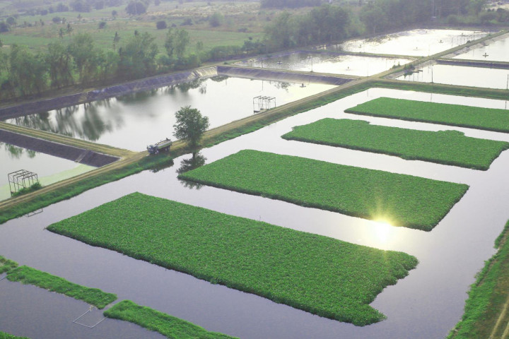 Bangkok Post - WHAUP revenue set to see double digit growth