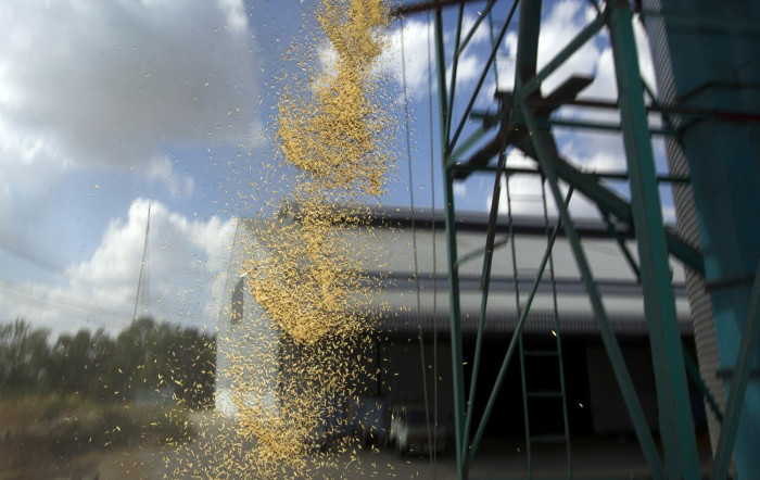 Bangkok Post - Committee endorses 4 rice projects worth over B50bn