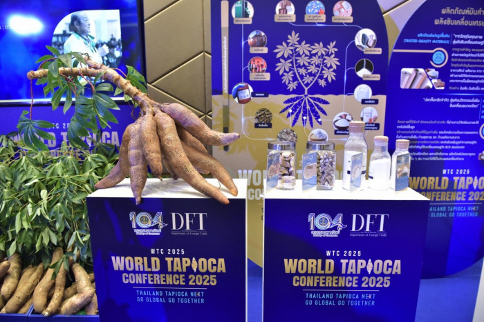 Bangkok Post - US tariffs yet to hit cassava exports