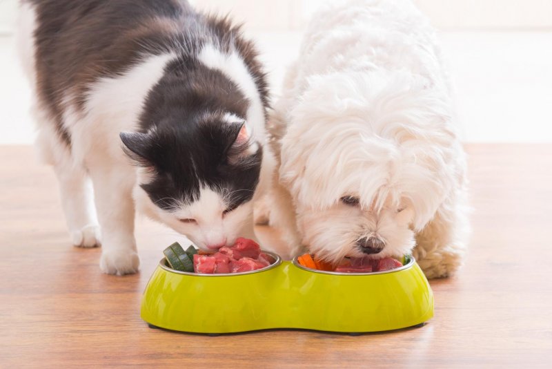 Bangkok Post - Thai pet food exports take the No.2 spot