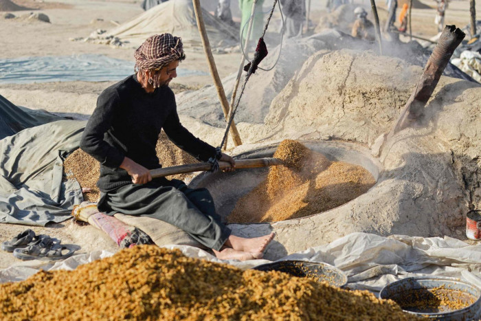 Bangkok Post - FAO at 80: feeding the future