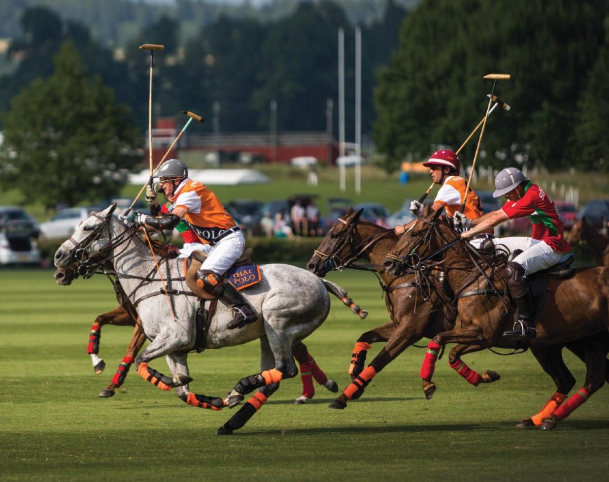 Bangkok Post - Thai Polo Open to mark 20th anniversary in Pattaya