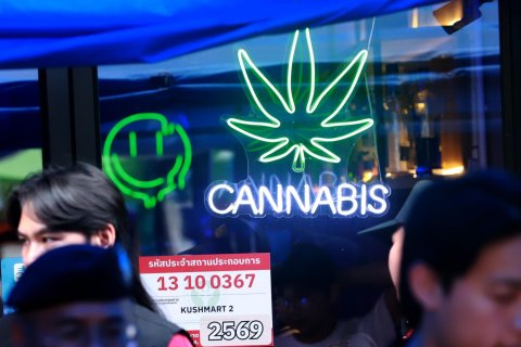 Bangkok Post - Cannabis market barely dented by new rules